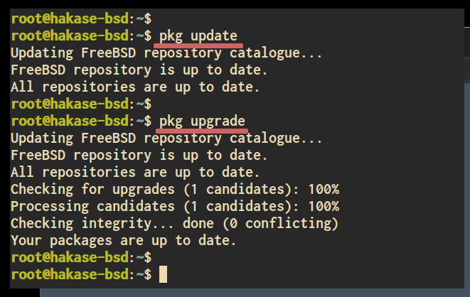 Nginx, MariaDB und PHP (FEMP-Stack) auf FreeBSD 12 installieren – HowtoForge