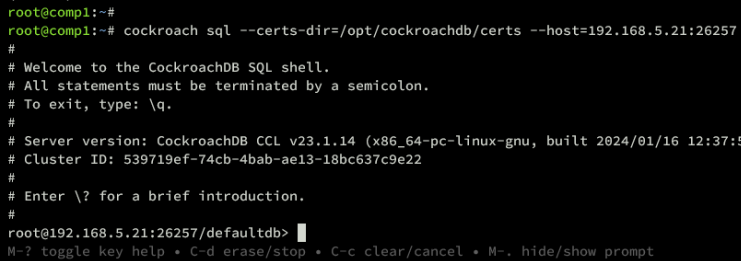 So installierst du CockroachDB Cluster unter Debian 12 – HowtoForge