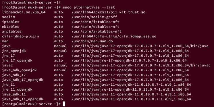 So Installierst Du Java Openjdkoraclejdk Auf Almalinux 9 Howtoforge 3912